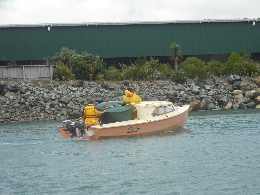 Past Projects – Quarantine Island Kamau Taurua