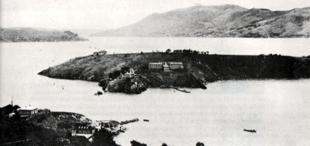 Walking Tour – Quarantine Island Kamau Taurua